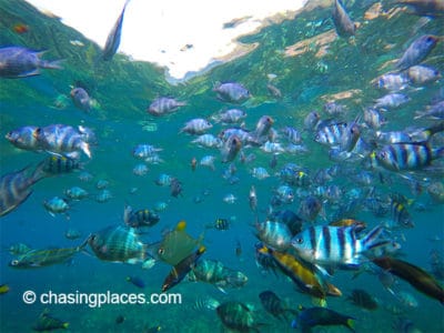 10 Things You Don't Know About Redang Island, Malaysia